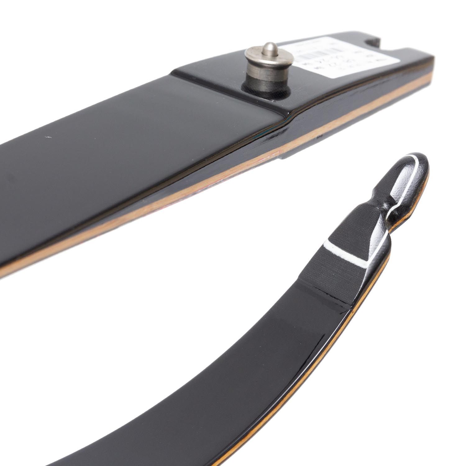 Bogensportshop.eu - Buy Winners Limbs Explore CB1 Bamboo/Carbon online